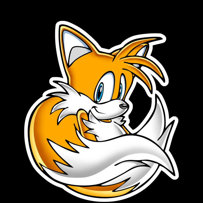 Uekawa's Artworks for Tails race's HUD Mod for Sonic Adventure DX ...