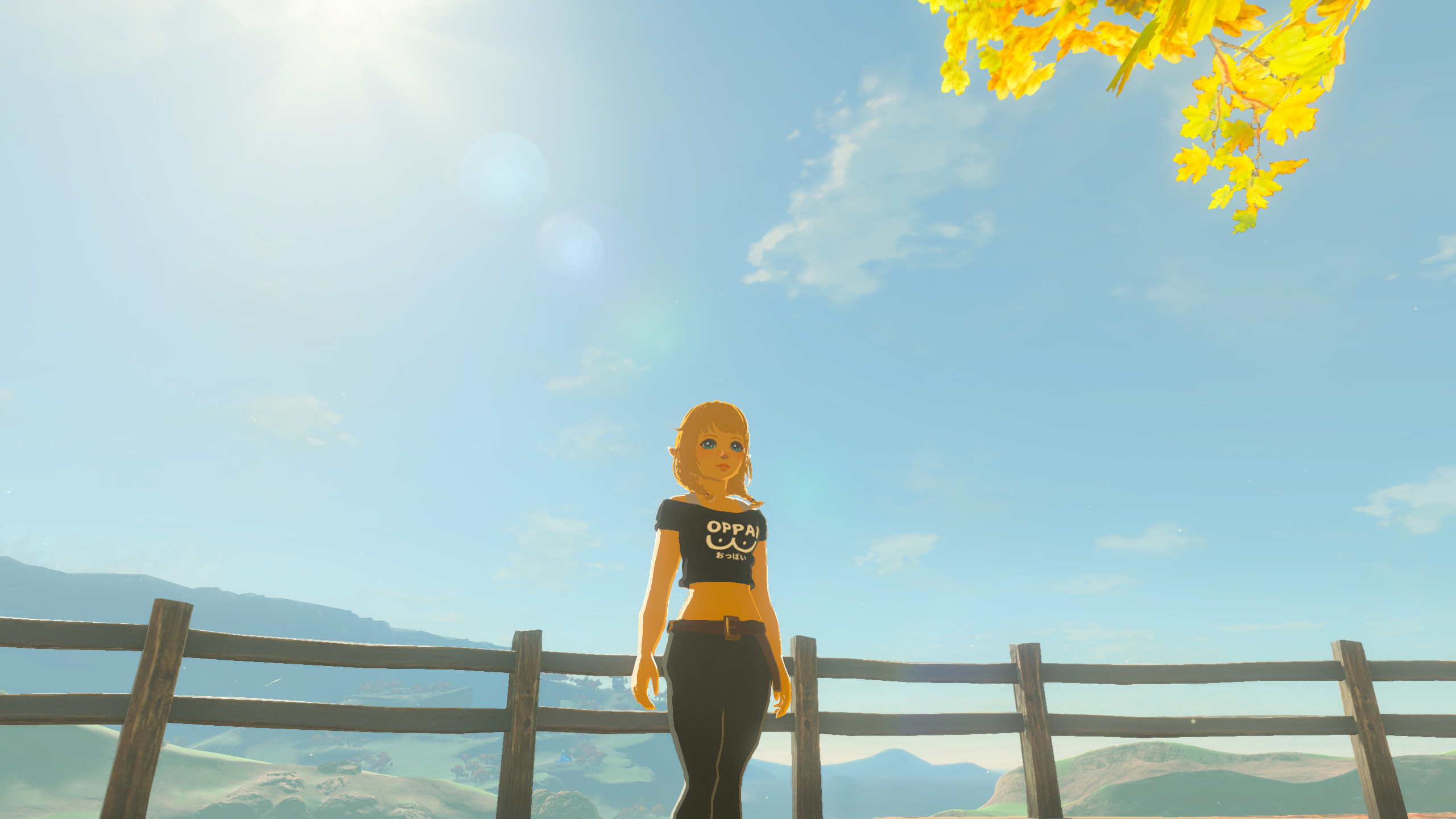 [NSFW] Oppai Shirt bnp [The Legend of Zelda: Breath of the Wild (WiiU ...