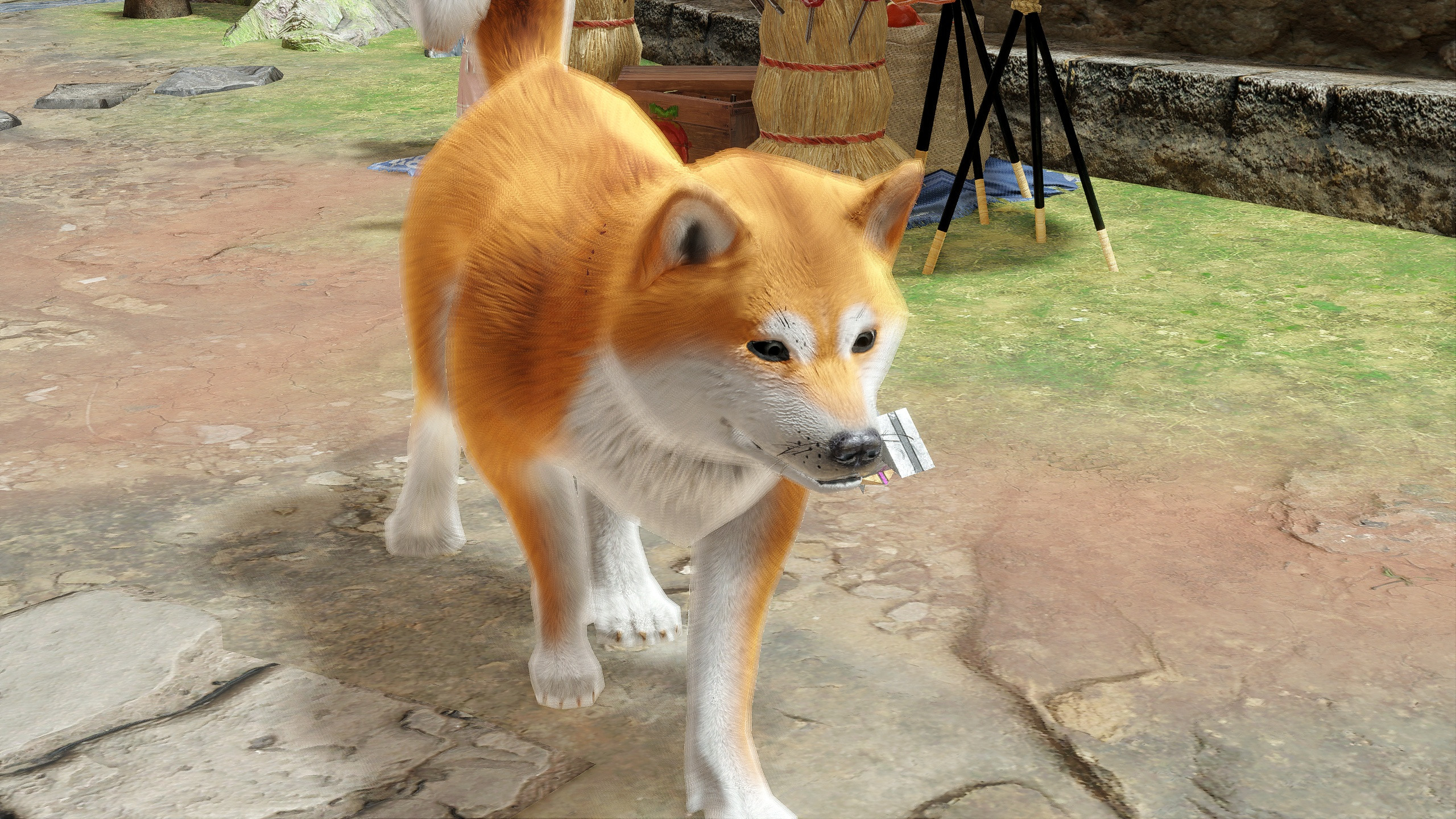 Loyal Dog into Shiba Inu (Doge) Mod for Monster Hunter Rise | MHR Mods