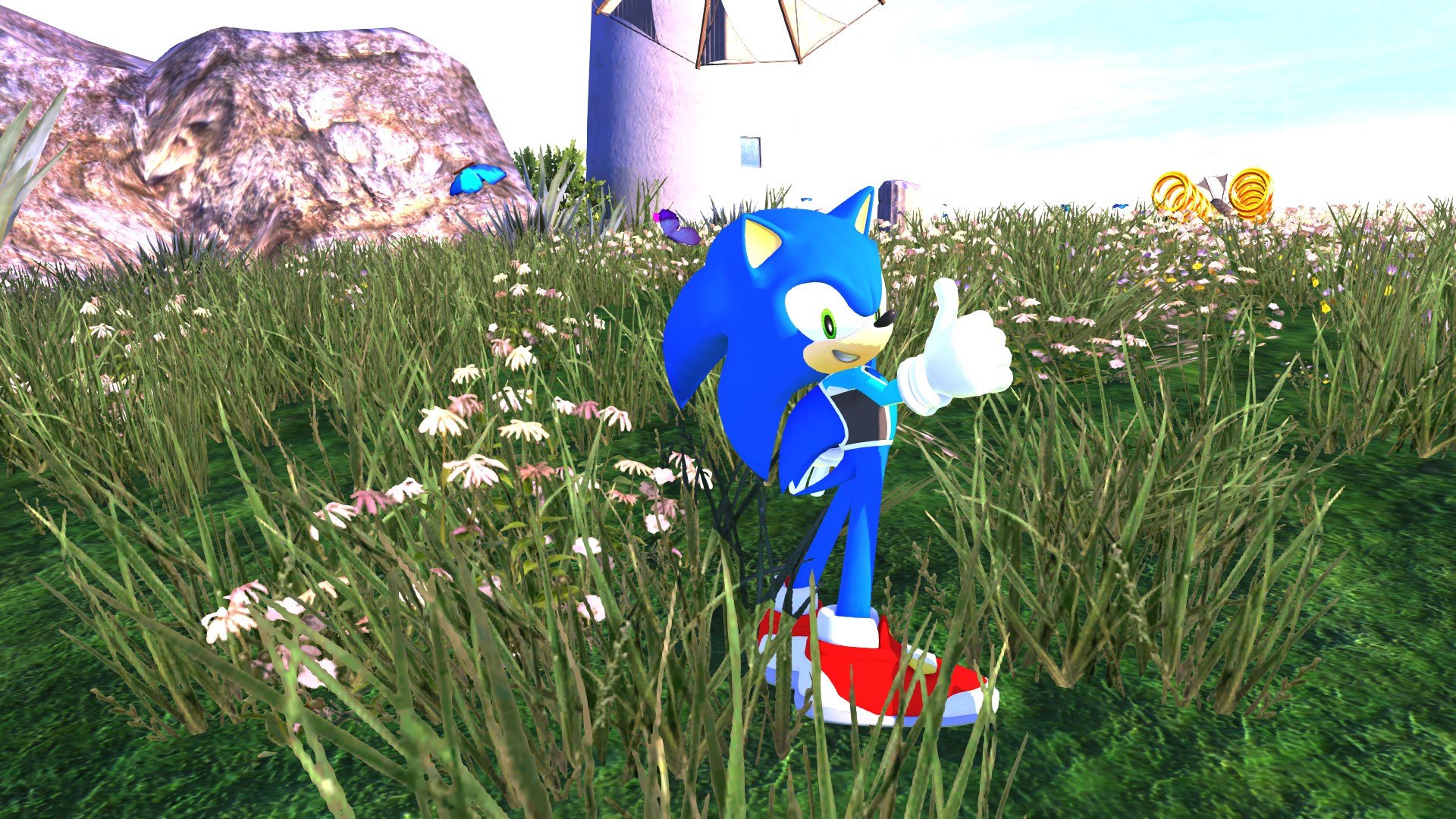 Surfing Sonic [Sonic Generations] [Mods]