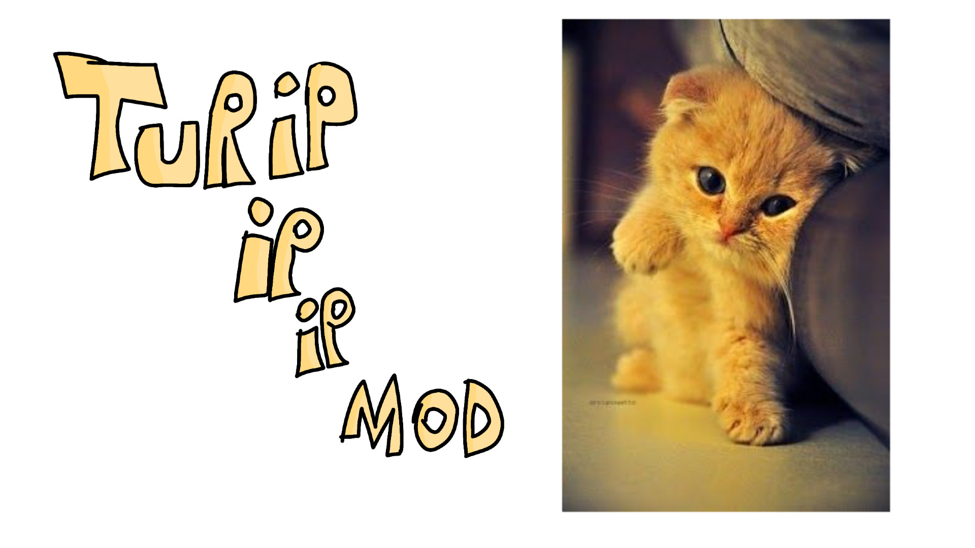 Turip Ip Ip Mod [Friday Night Funkin'] [Mods]