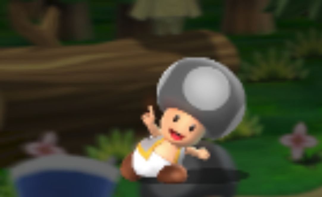 Grey Toad Skin [Mario Party 9] [Mods]