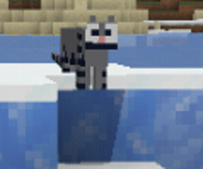 Nermal And Cursed Cats. Mod for Minecraft: Bedrock Edition | MC:BE Mods