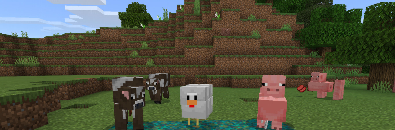 Chickens, Cows and pigs but they have 50 diseases [Minecraft: Bedrock ...