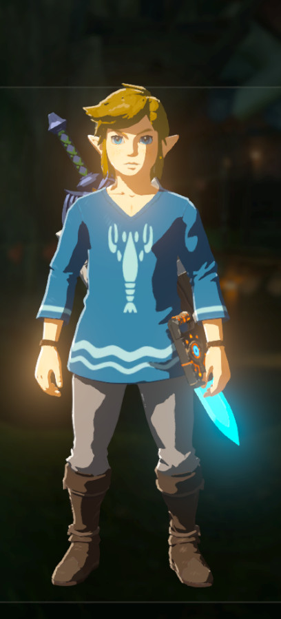 Wind Waker Default Hair Mod for The Legend of Zelda: Breath of the Wild ...