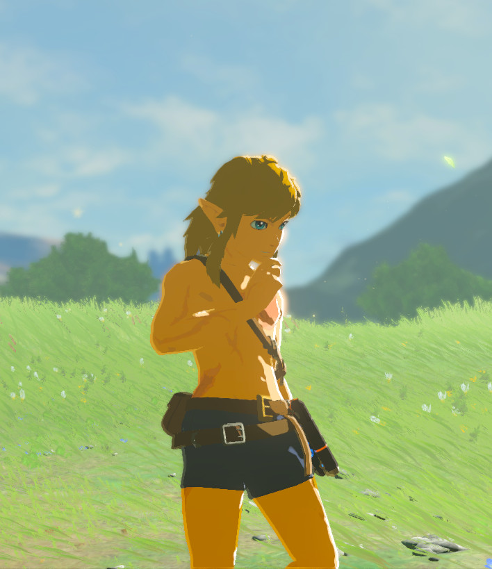 Wild Link - Default Appearance Mod for The Legend of Zelda: Breath of ...