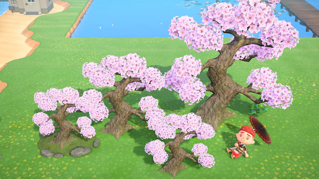 Acnh Cherry Blossom Bonsai Recipe at Lauren Harris blog