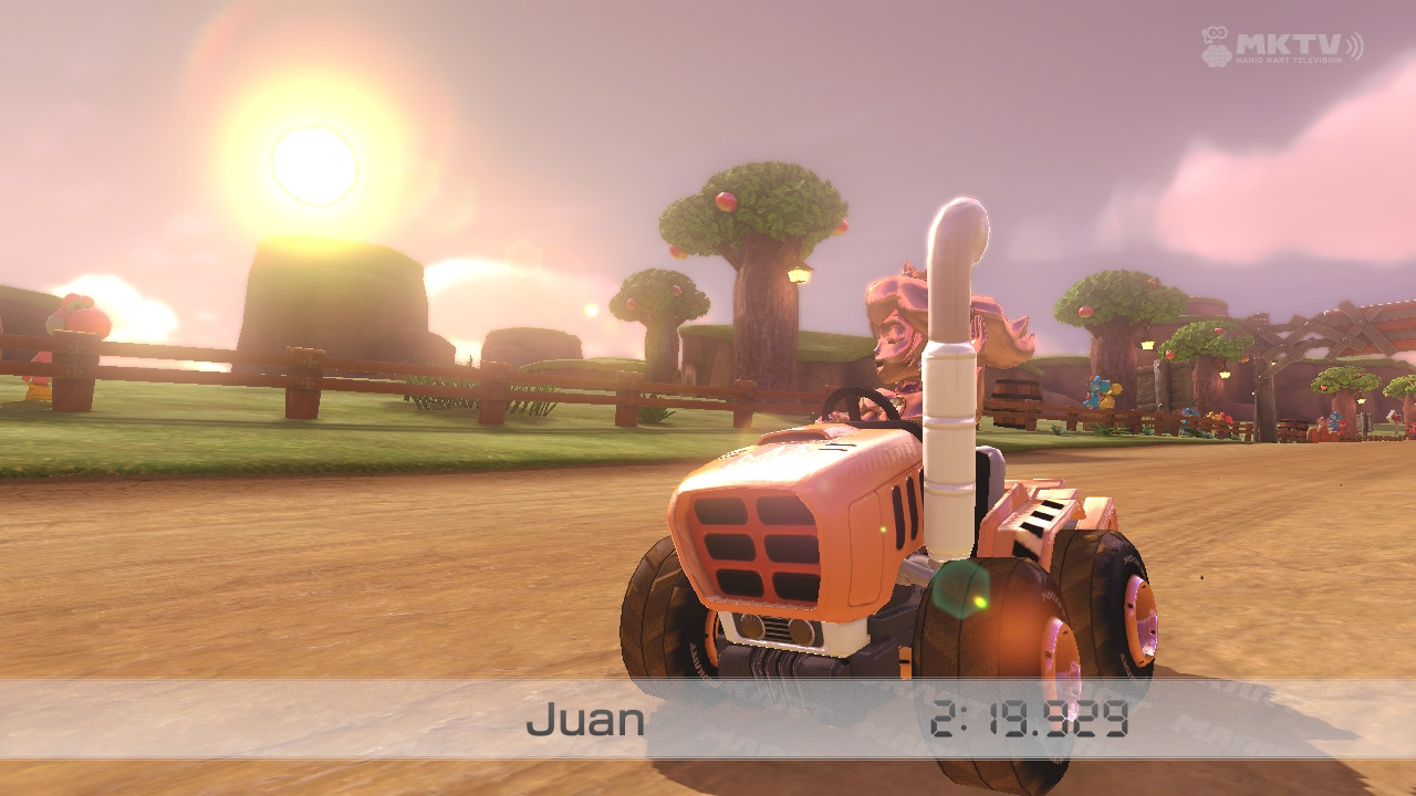 DS/T Dragonfly/Firefly in MK8 [Mario Kart 8] [Mods]