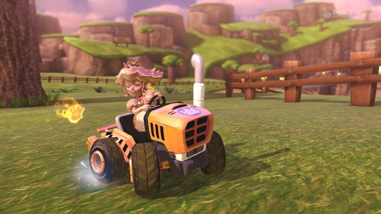 DS/T Dragonfly/Firefly in MK8 [Mario Kart 8] [Mods]