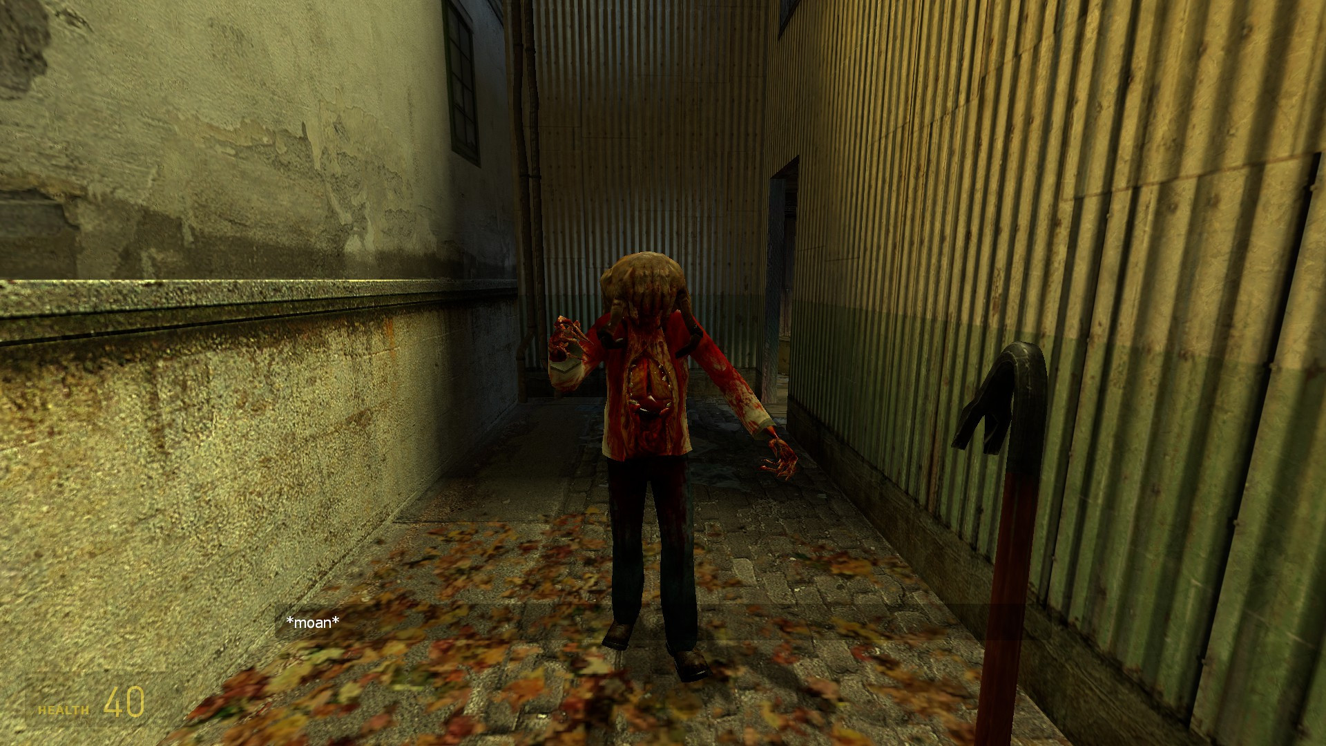 NMRiH Animations Mod for Half-Life 2 | HL2 Mods