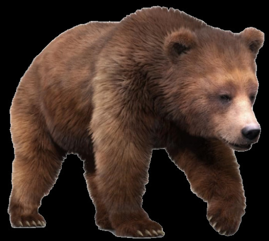 Vs. A Bear Mod for Friday Night Funkin' | FNF Mods