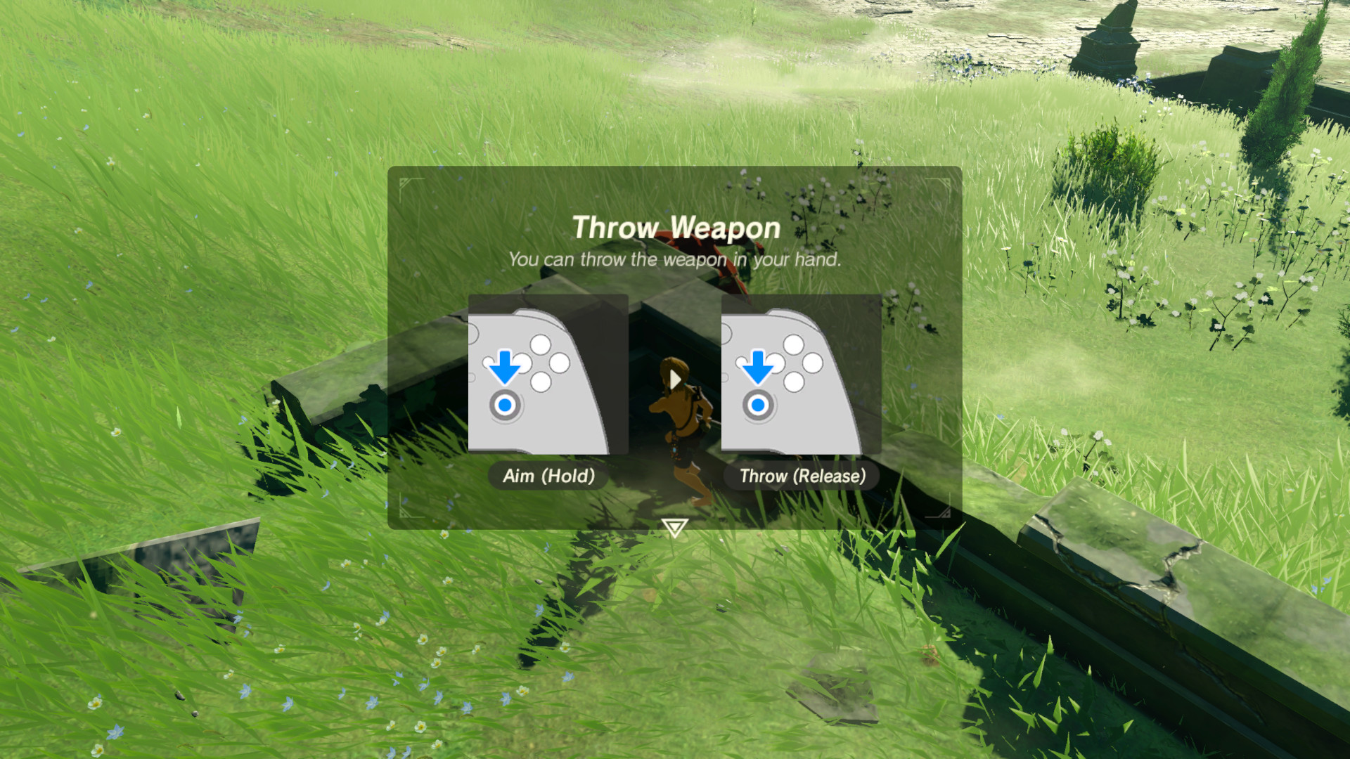 Ultimate Xbox UI Mod for The Legend of Zelda: Breath of the Wild (WiiU ...