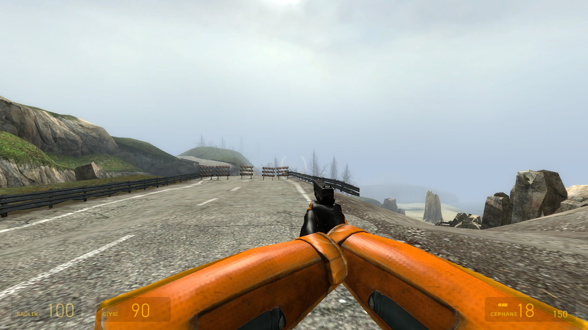 Black Mesa Hand HD (kind of) Mod for Half-Life 2 | HL2 Mods