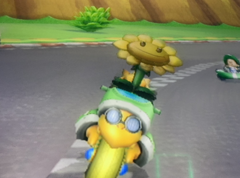 Sunflower Mod for Mario Kart Wii | MKWii Mods