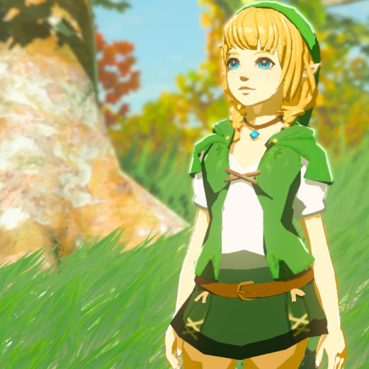 Linkle Hero of the Wild replacement Mod for The Legend of Zelda: Breath ...