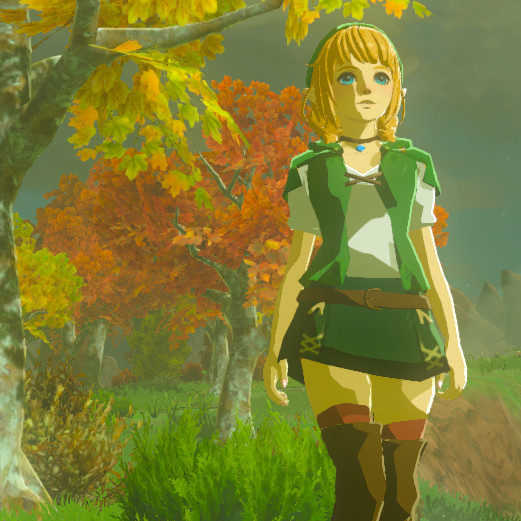 Linkle Hero of the Wild replacement Mod for The Legend of Zelda: Breath ...