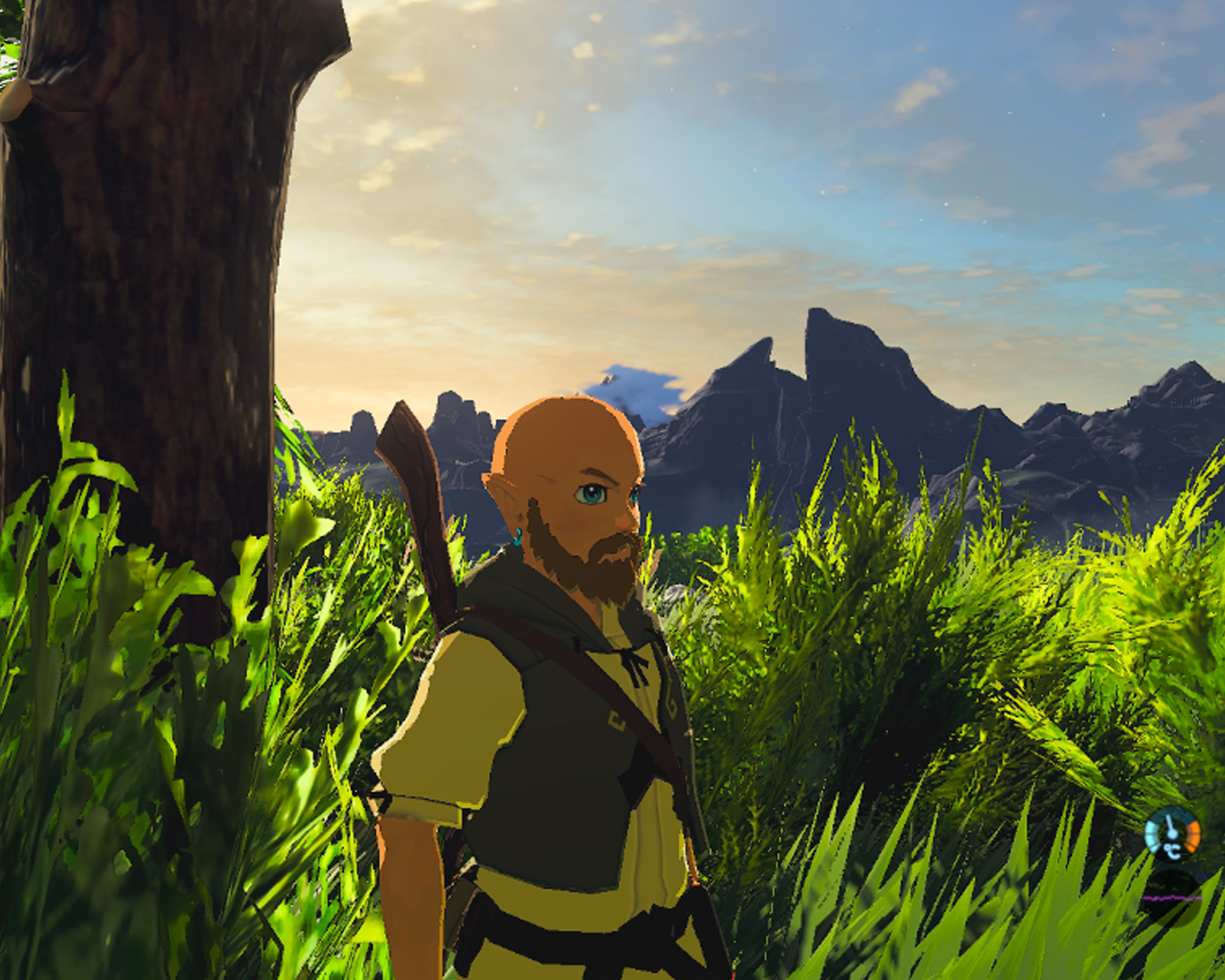 Shaved Head Link Mod for The Legend of Zelda: Breath of the Wild (WiiU ...