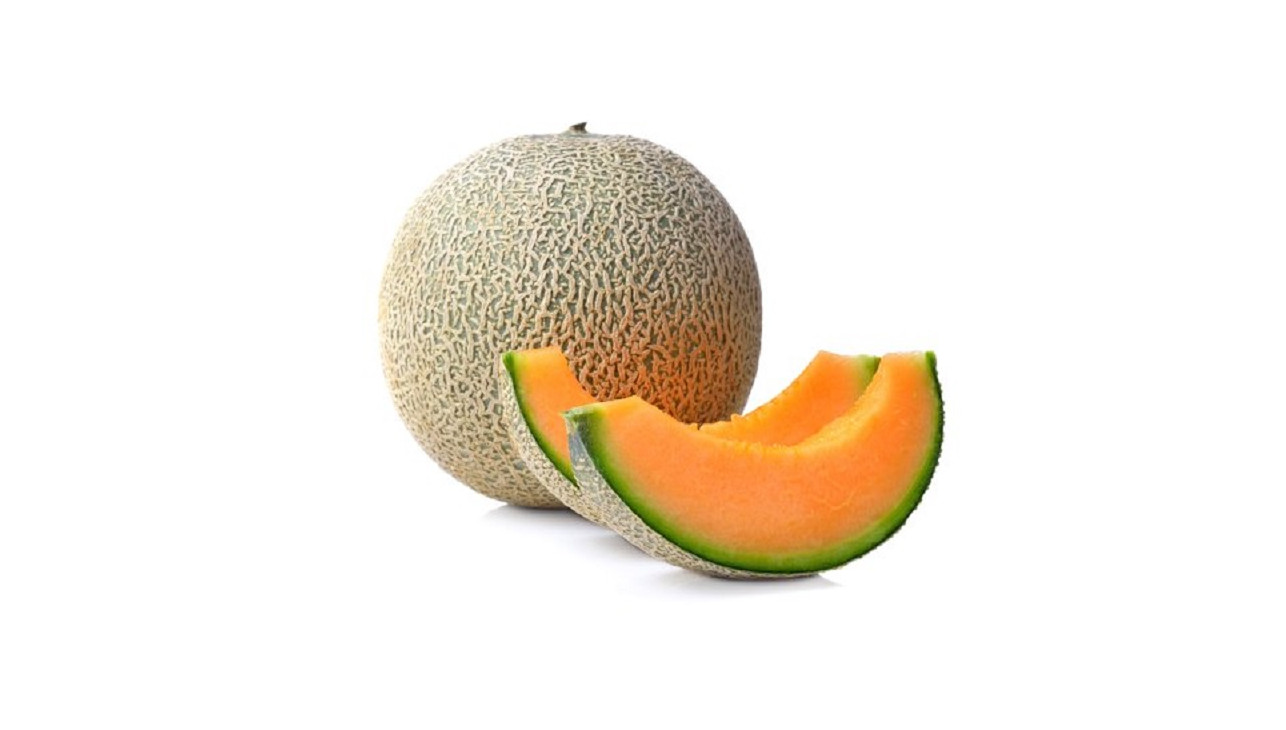 VS CANTALOUPE (Yahiamice stream bit) [Friday Night Funkin'] [Mods]