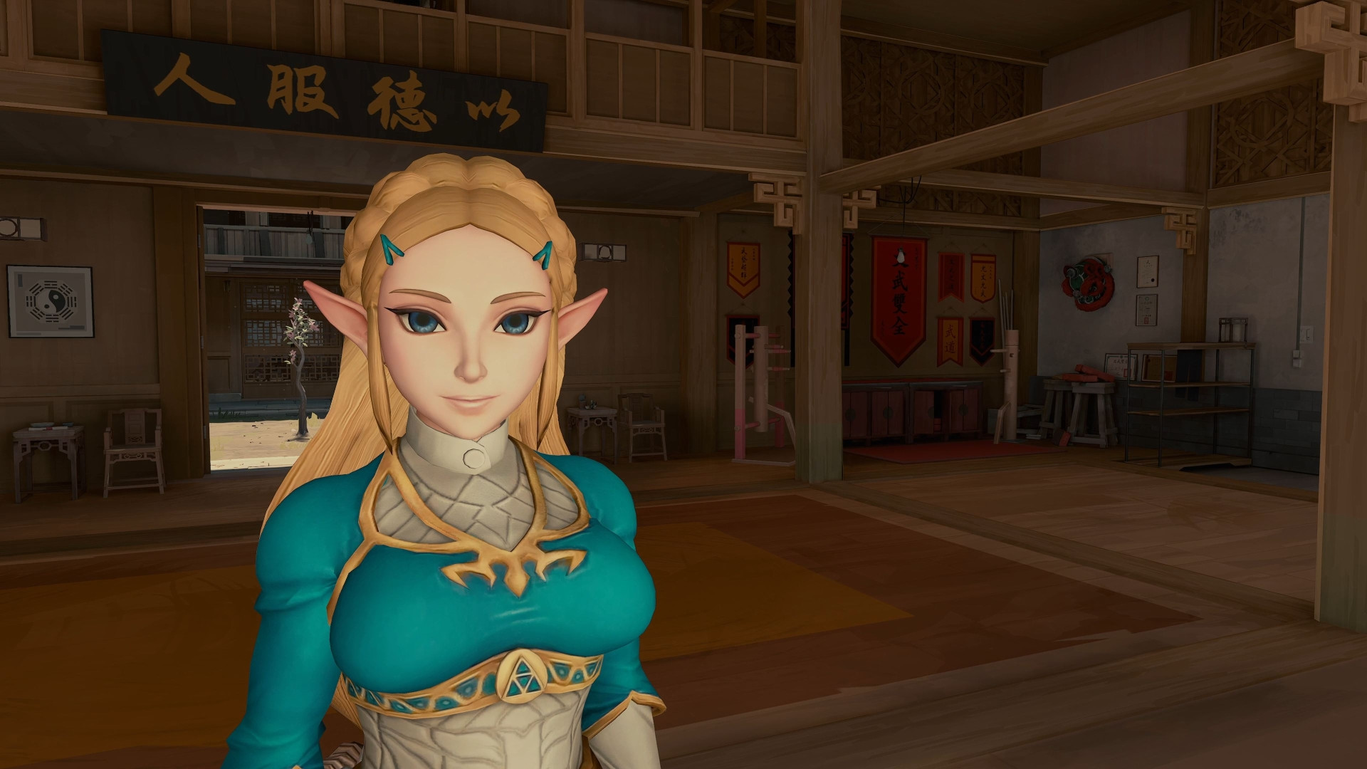 Sifu Hyrule Warriors Zelda BOTW Mod Mod for Sifu | Sifu Mods