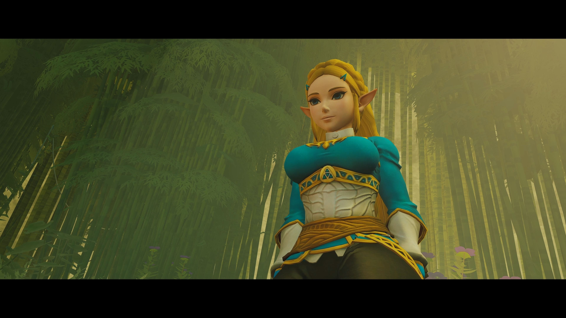 Sifu Hyrule Warriors Zelda BOTW Mod Mod for Sifu | Sifu Mods