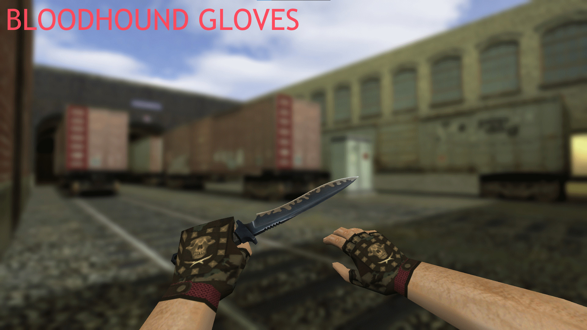 CS:GO Gloves on CS1.6 Hands RELOADED Mod for Counter-Strike 1.6 | CS1.6 ...