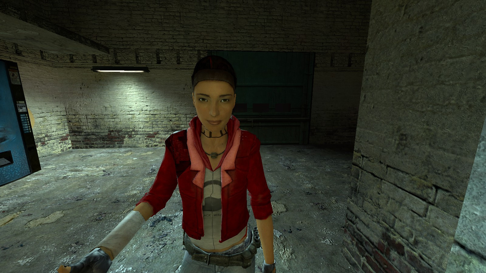 Miscellanious Skins [Half-Life 2] [Mods]