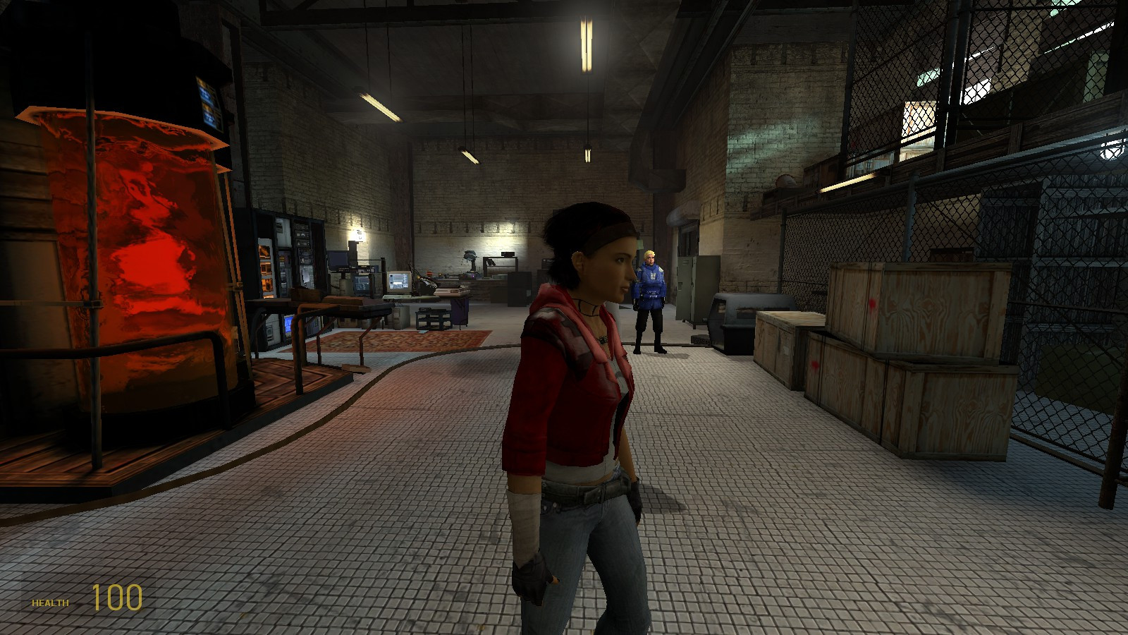 Miscellanious Skins [Half-Life 2] [Mods]