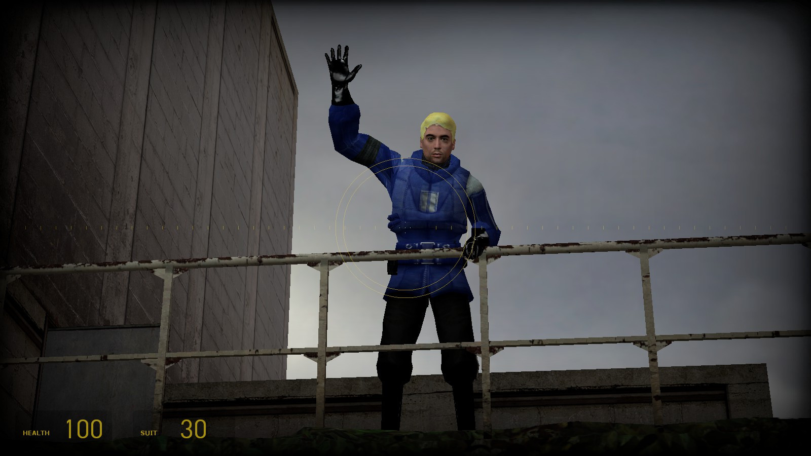 Miscellanious Skins [Half-Life 2] [Mods]