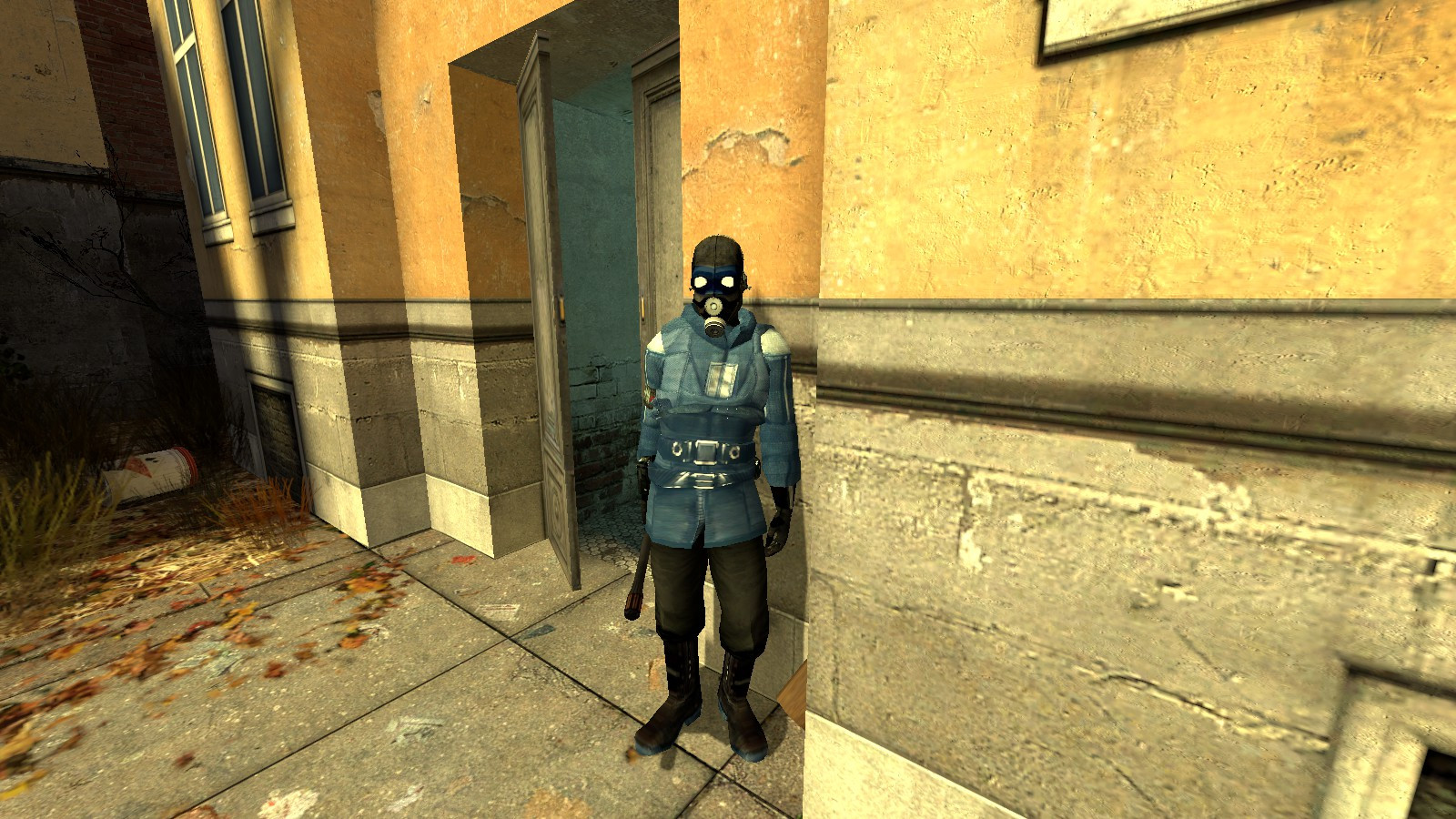 Miscellanious Skins [Half-Life 2] [Mods]