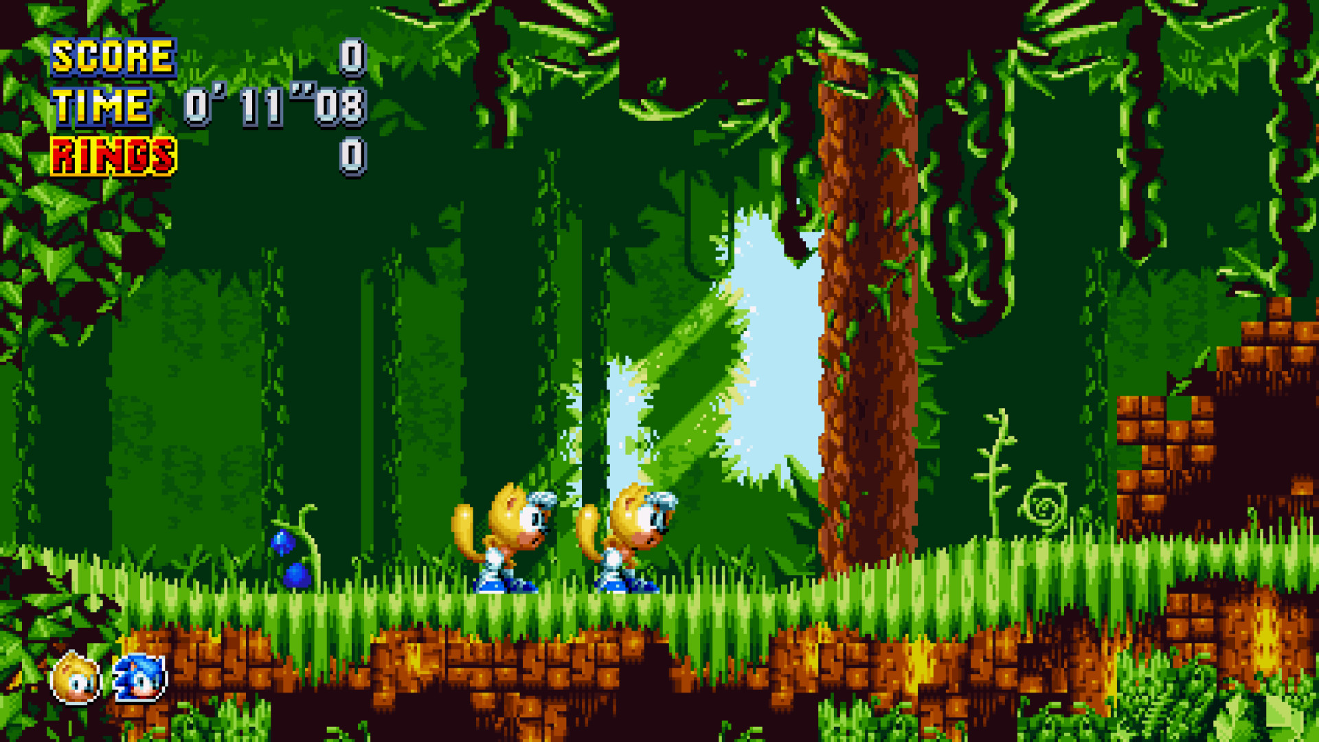 Ray Mania Mod for Sonic Mania | SM Mods