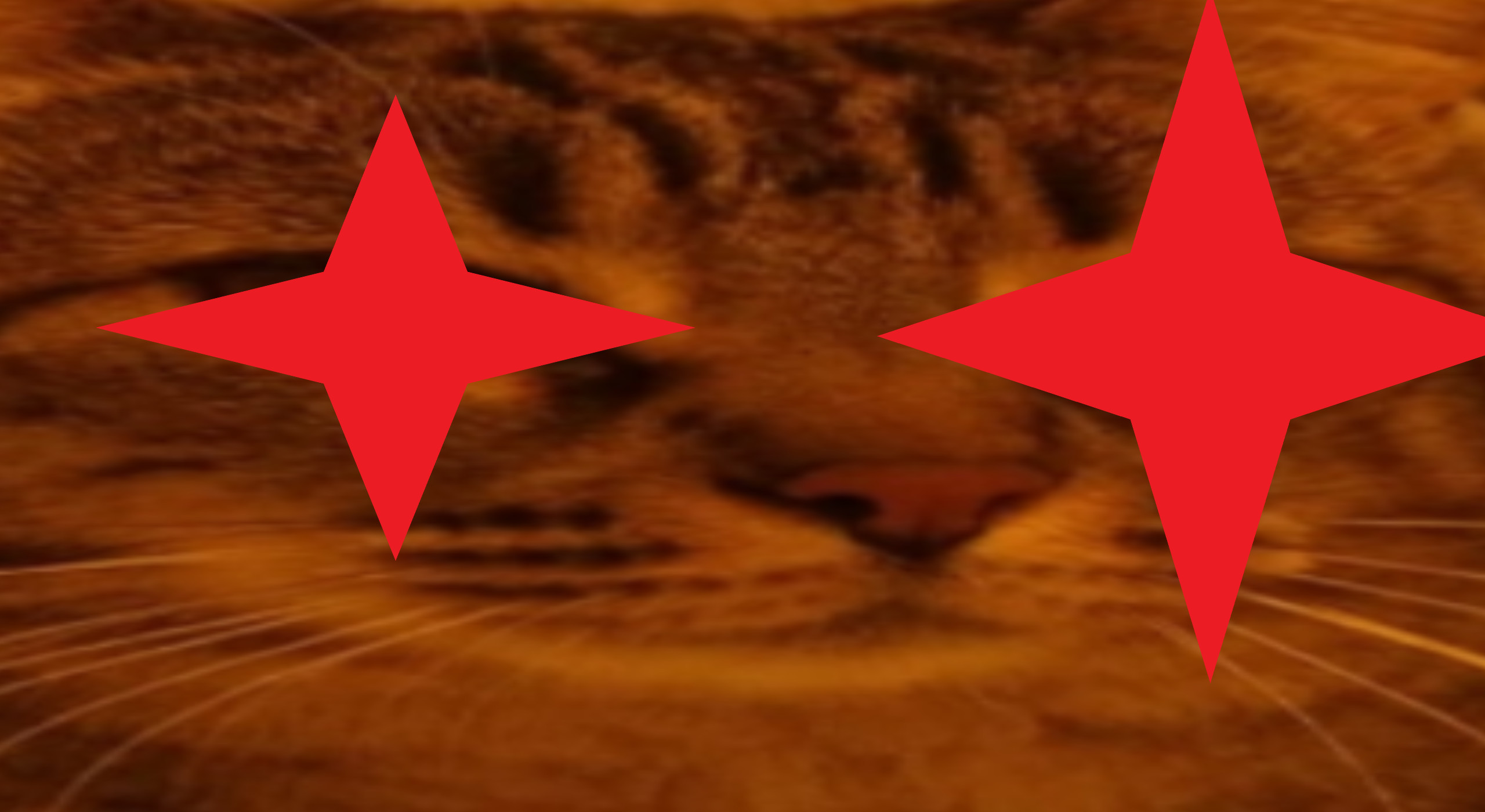 fnf vs amor V1 and V2!!! Mod for Friday Night Funkin' | FNF Mods