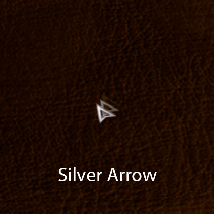 Silver Arrow Mod for Hunting Unlimited 2010 | HU2010 Mods