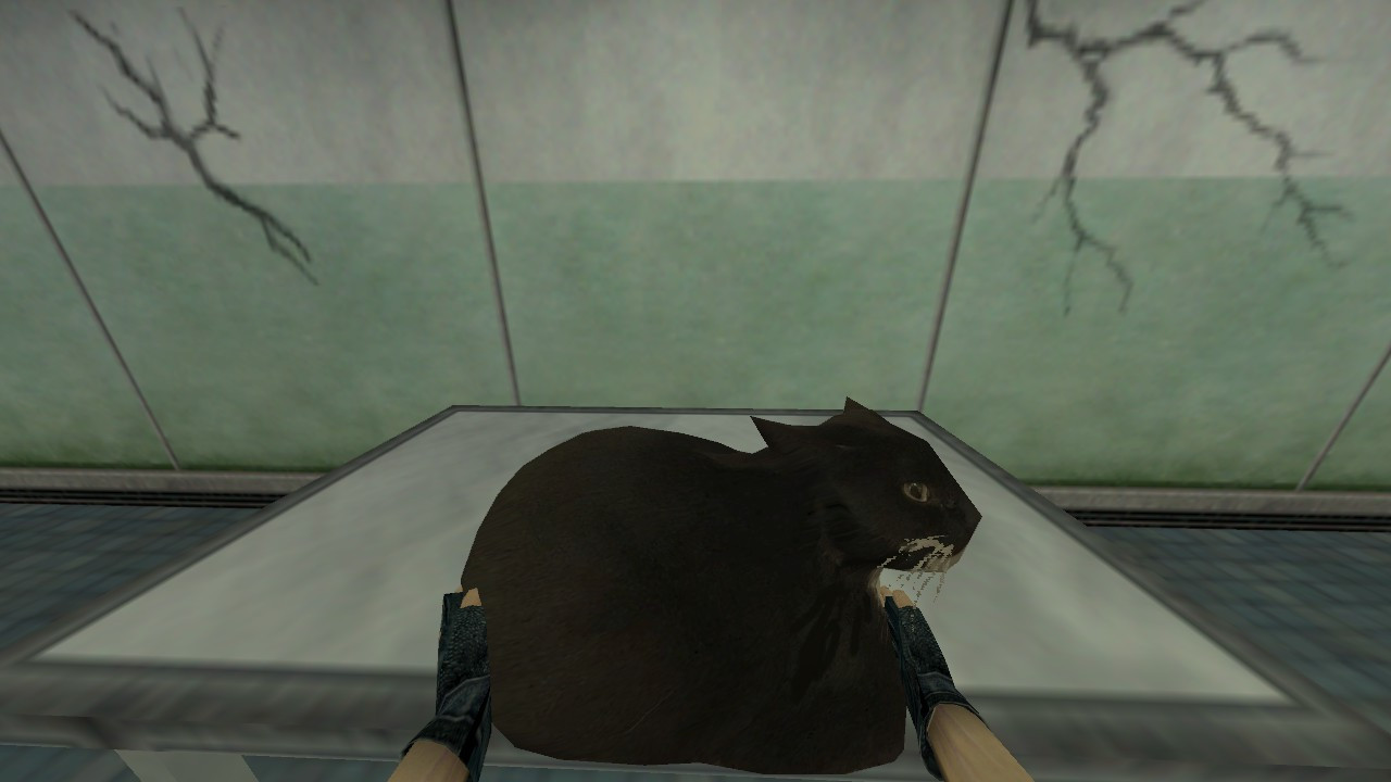 Maxwell The Cat Mod for Half-Life: Opposing Force | HL:OF Mods