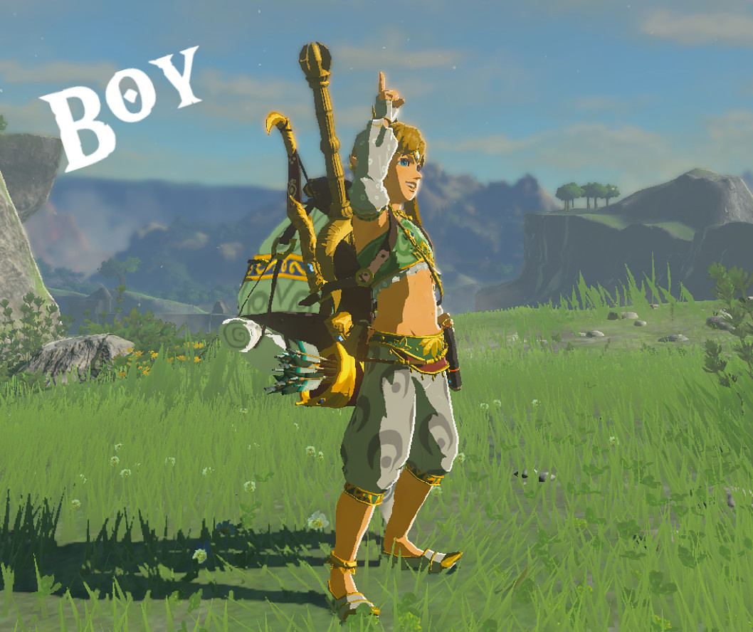 3TypeBackPackMOD Mod for The Legend of Zelda: Breath of the Wild (WiiU ...