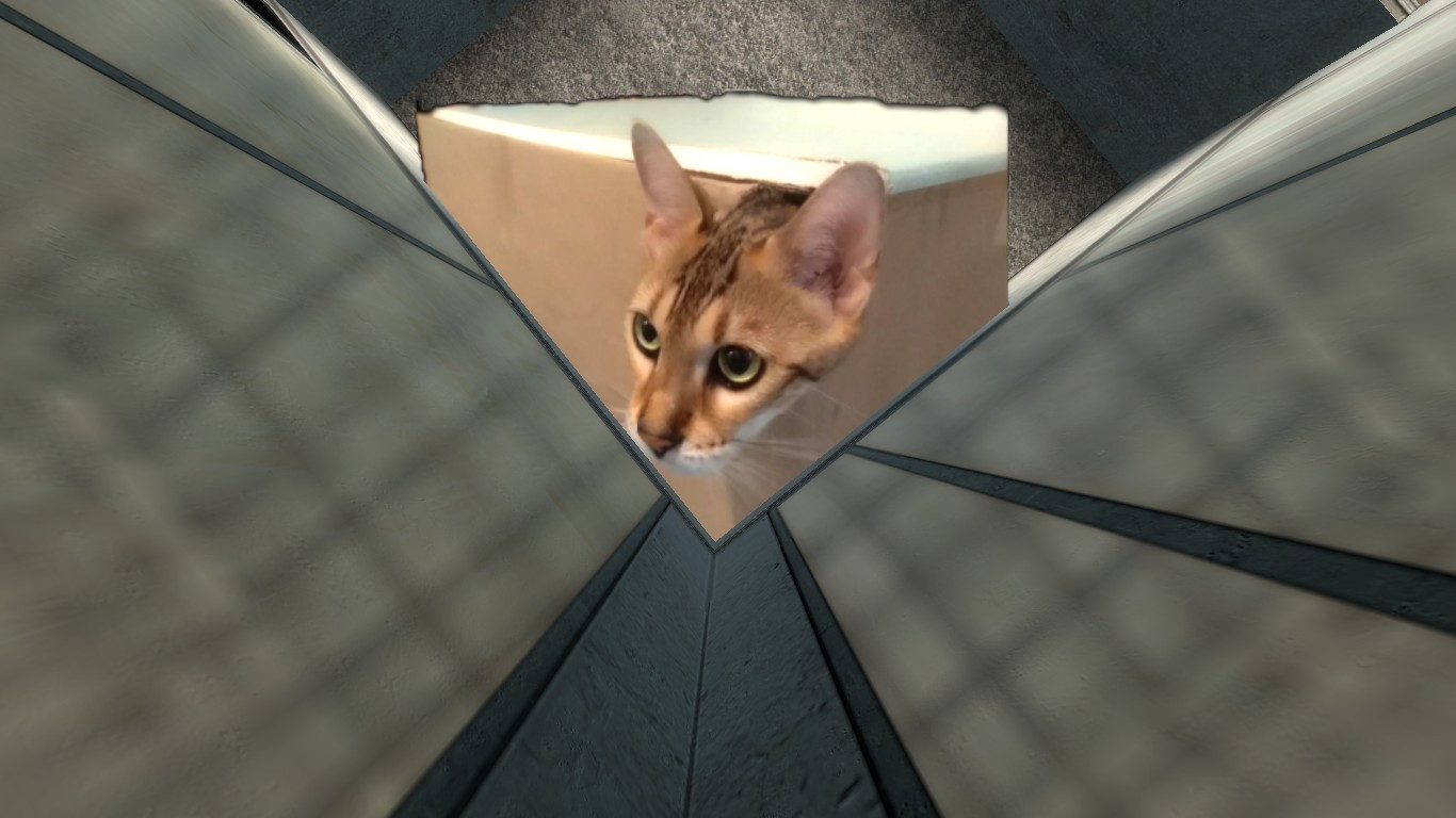 Cat Mod for Garry's Mod | GMod Mods