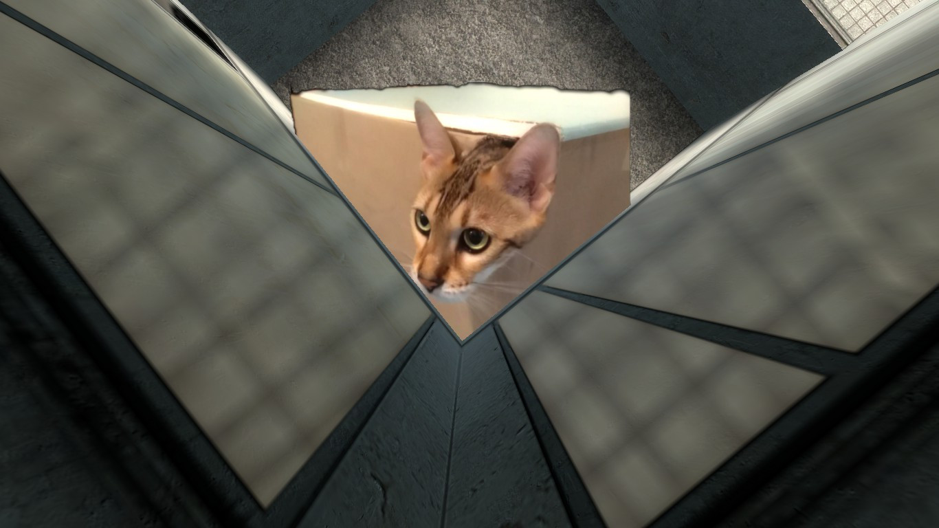 Cat Mod for Garry's Mod | GMod Mods