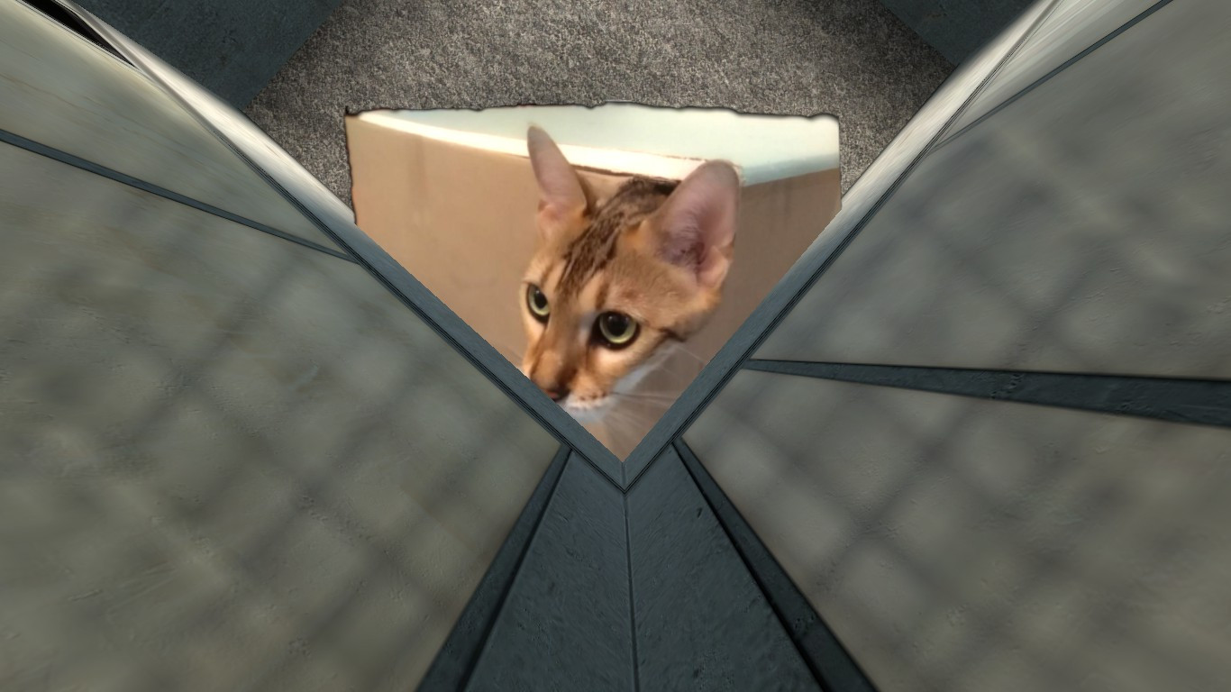 Cat Mod for Garry's Mod | GMod Mods