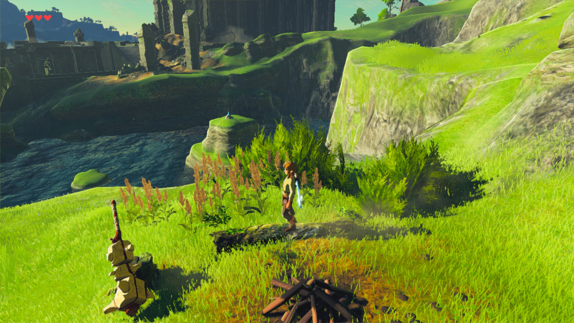 Weapon Randomizer Mod for The Legend of Zelda: Breath of the Wild (WiiU ...