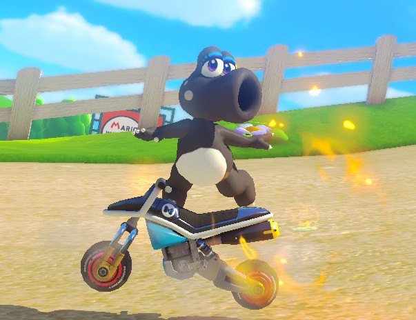 Bald Birdo Mod for Mario Kart 8 Deluxe | MK8D Mods