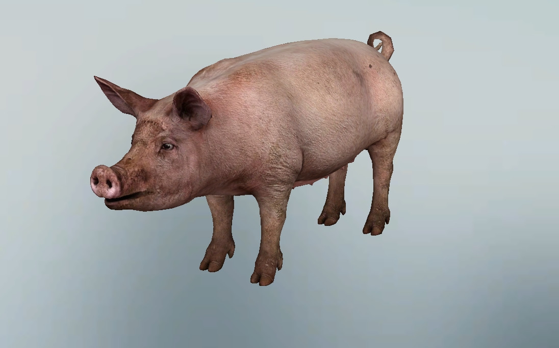PIG Mod for Counter-Strike: Global Offensive | CS:GO Mods