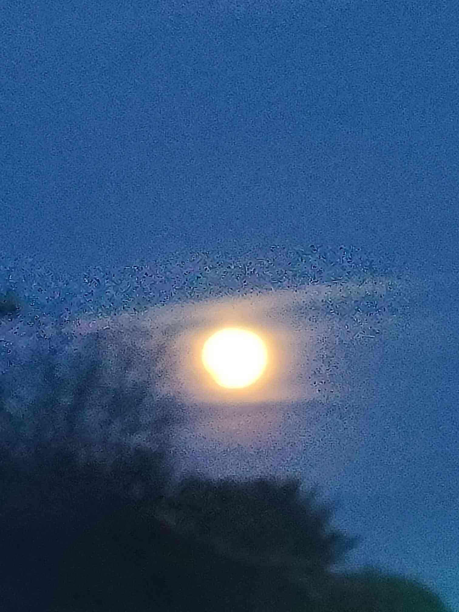 Terrible Tuesday Night [Friday Night Funkin'] [Mods]