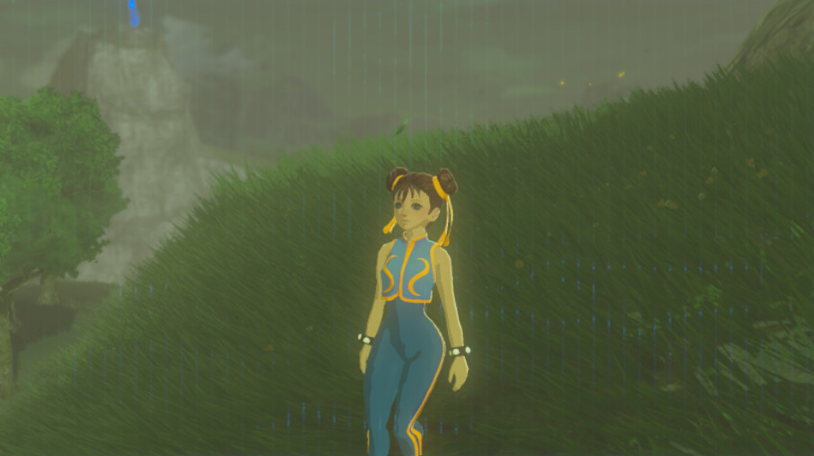 Chun Li Track Suit Mod for The Legend of Zelda: Breath of the Wild ...