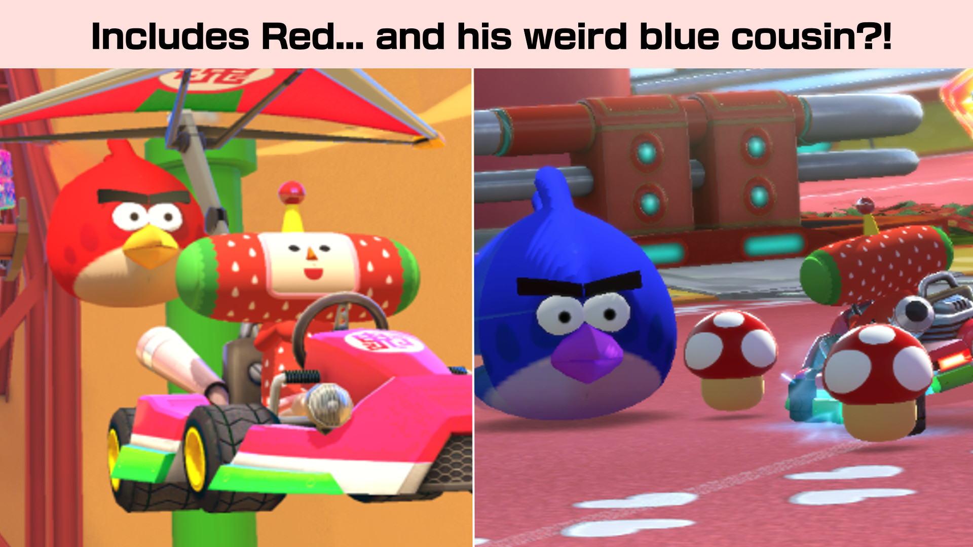 Red Bird over Shells Mod for Mario Kart 8 Deluxe | MK8D Mods