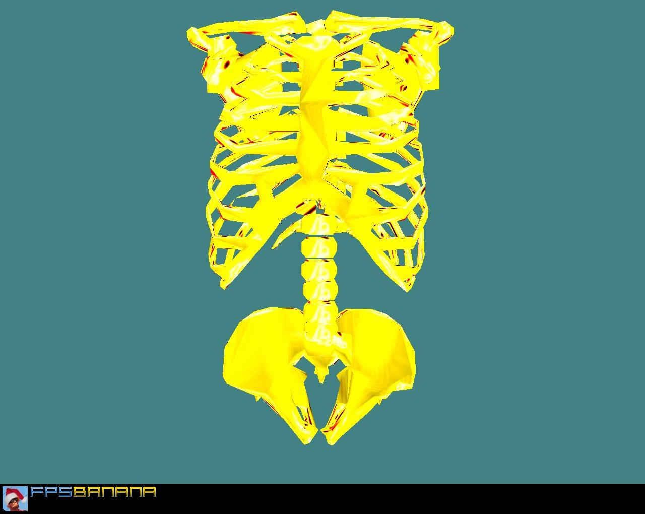 Skeleton Armor [Team Fortress Classic] [Mods]