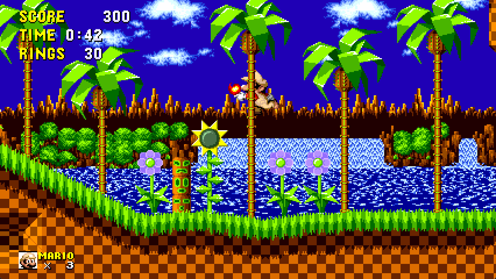 (April Fools) Sonic Forever: Expansion Pack [Sonic the Hedgehog Forever ...