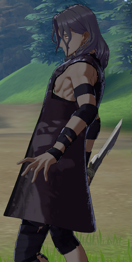 Outfit Edit for Zelkov Thief Class Mod for Fire Emblem Engage | FEE Mods