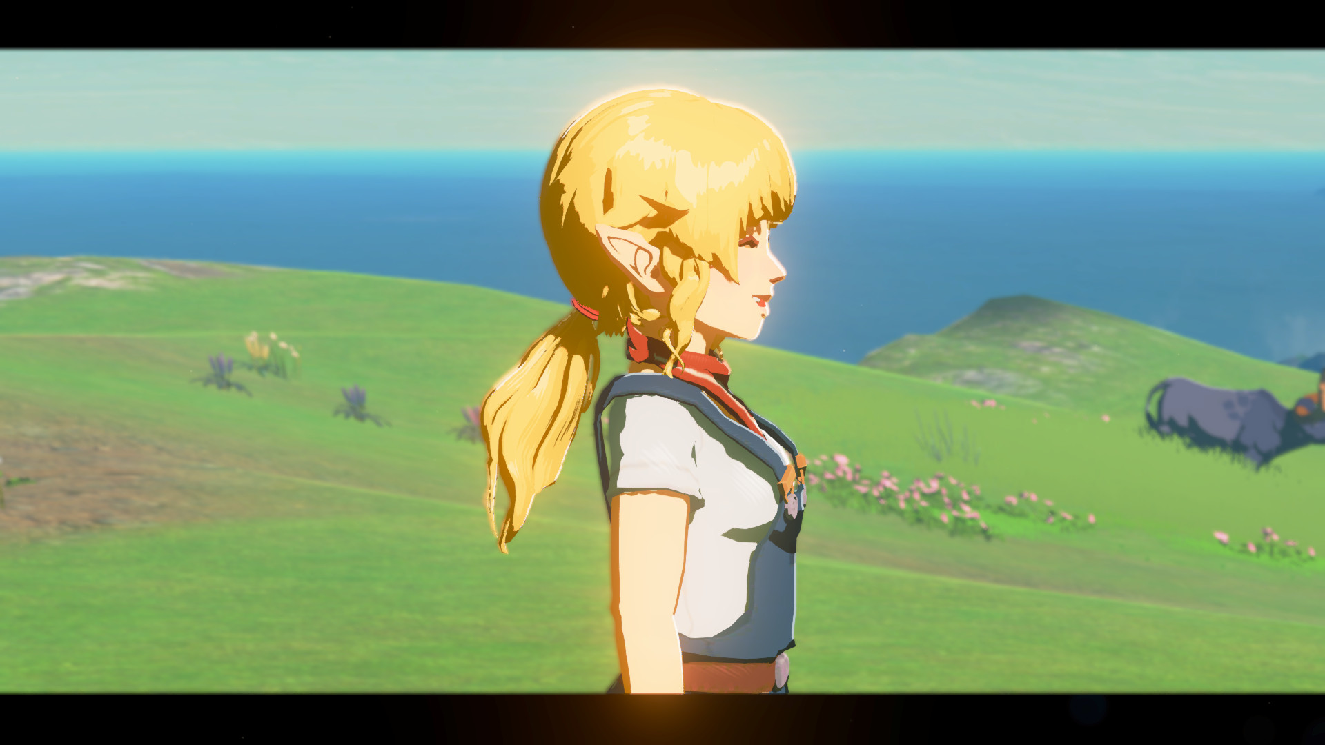 Linkle Ponytail Replacers (Updated for Linkle 3.0) Mod for The Legend ...