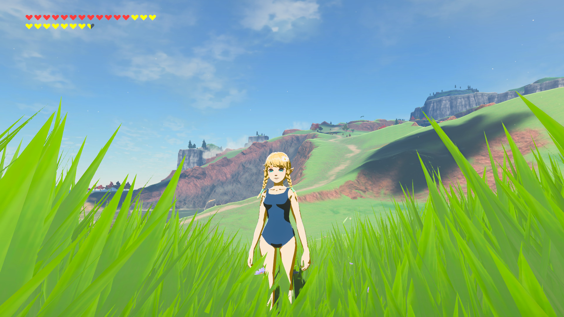 Swimsuit Mod for The Legend of Zelda: Breath of the Wild (WiiU) | BotW Mods
