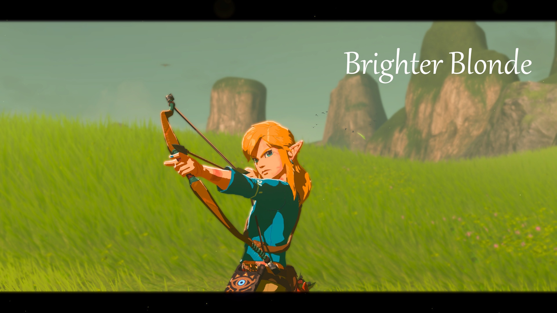 Burned & Scarred Link: Linked Universe Link Mod for The Legend of Zelda ...