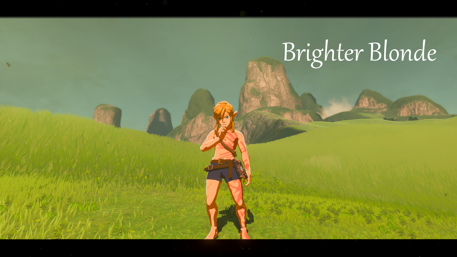 Burned & Scarred Link: Linked Universe Link Mod for The Legend of Zelda ...